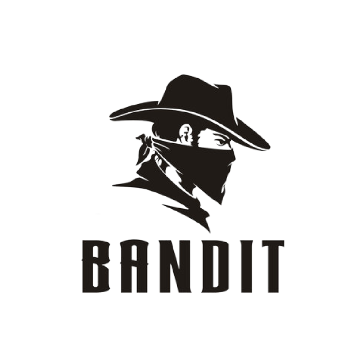 Challenge Overview - Bandit Challenge